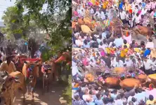 Latest Dahod News, દાહોદ સમાચાર ગુજરાતીમાં - Gujarat Samachar